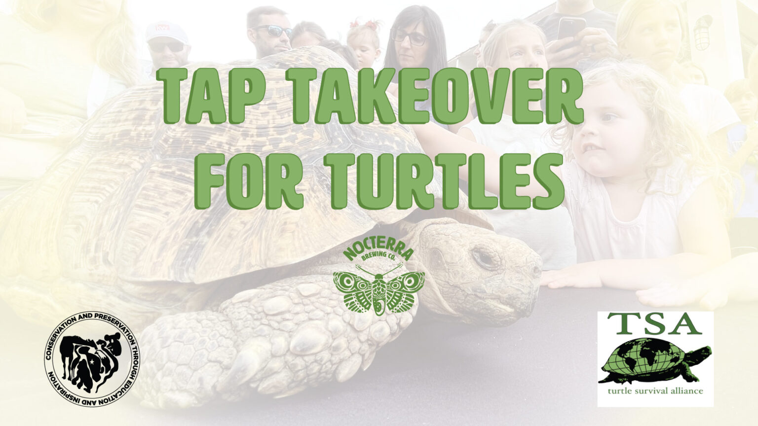 Tap Takeover For Turtles - Nocterra Brewing Co.